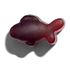 Focus Fish – Tandy