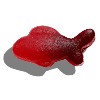 Focus Fish – Tandy