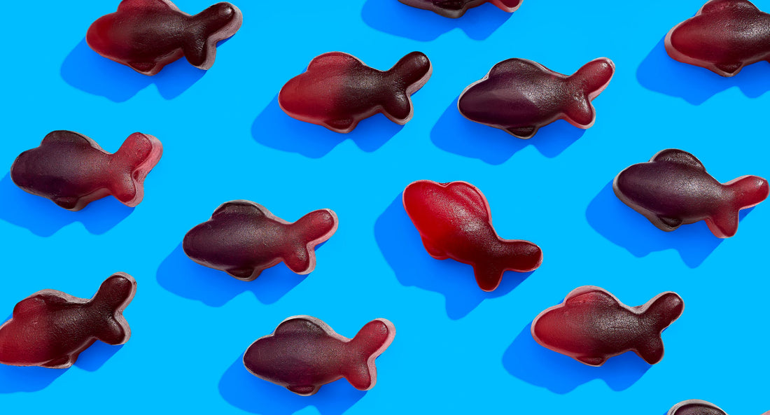 All the Goods – Tandy