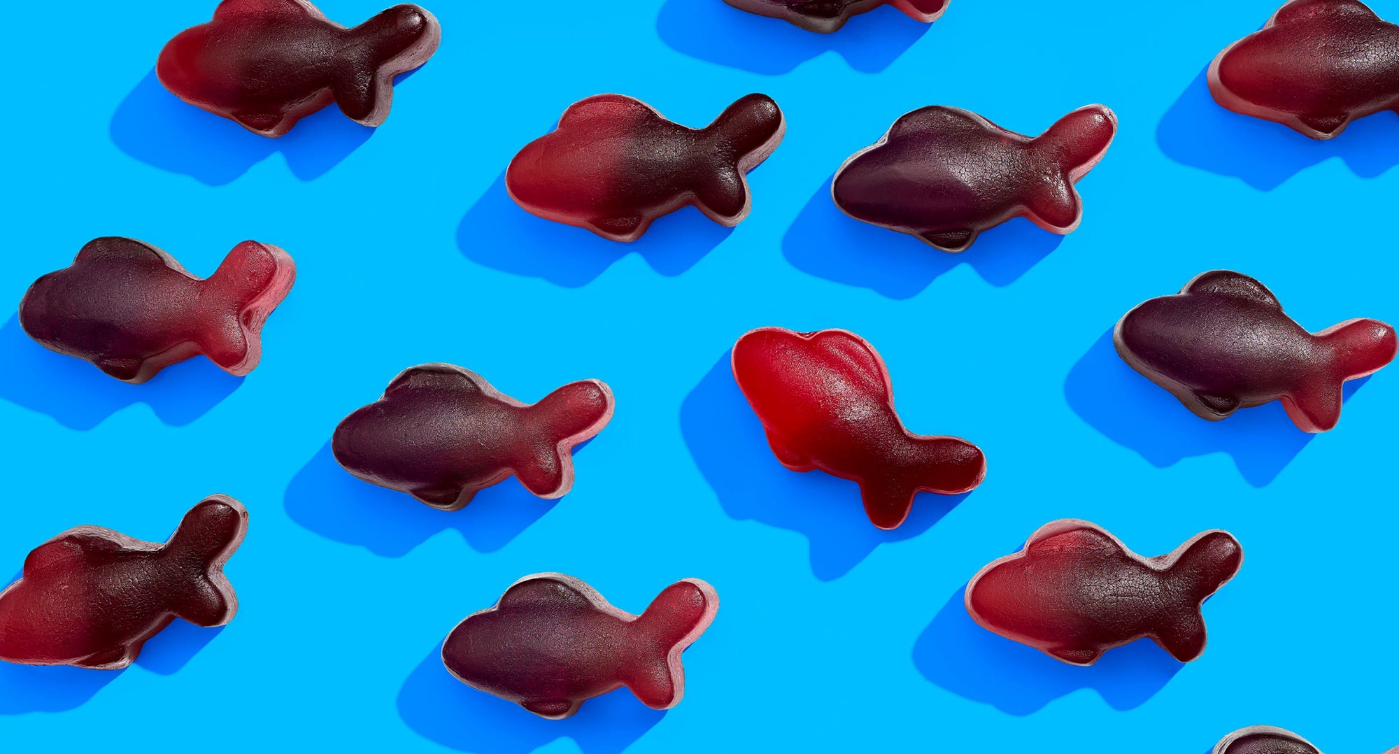 All the Goods – Tandy