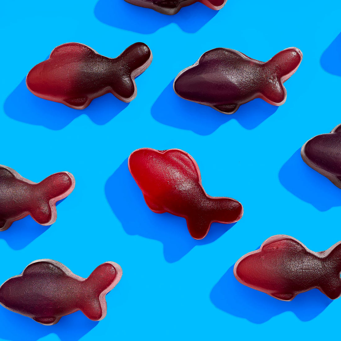 All the Goods – Tandy